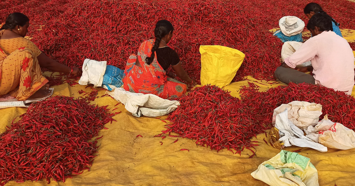 Paulig and Save the Children help spice farmers better sustain their ...